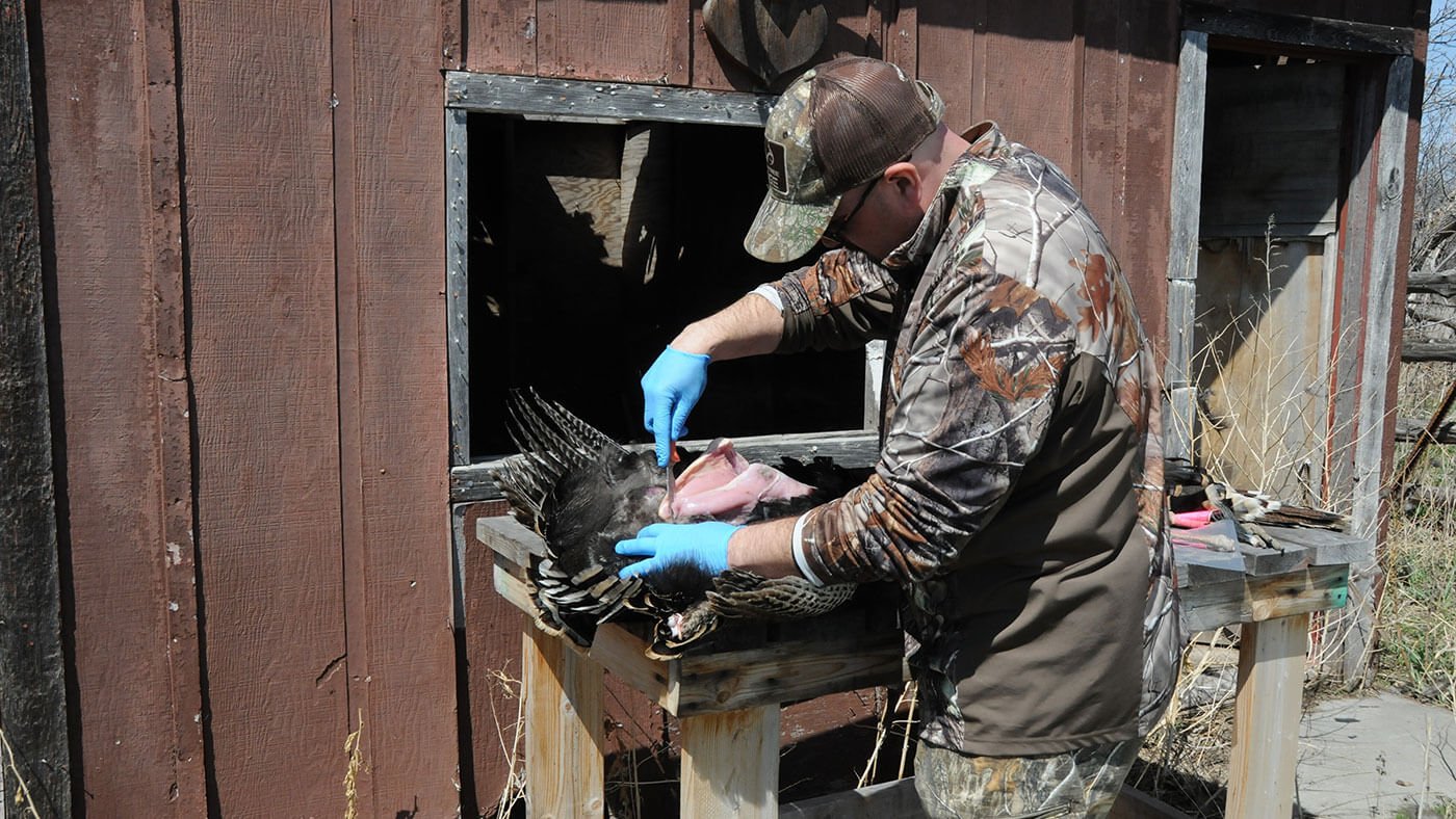 Knife Sharpening Techniques Every Hunter Should Know » KnifeKnow-How ...