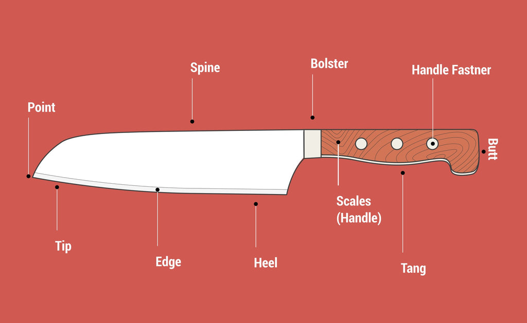 The Anatomy of a Fishing Knife » KnifeKnow-How: Your Ultimate Knife ...